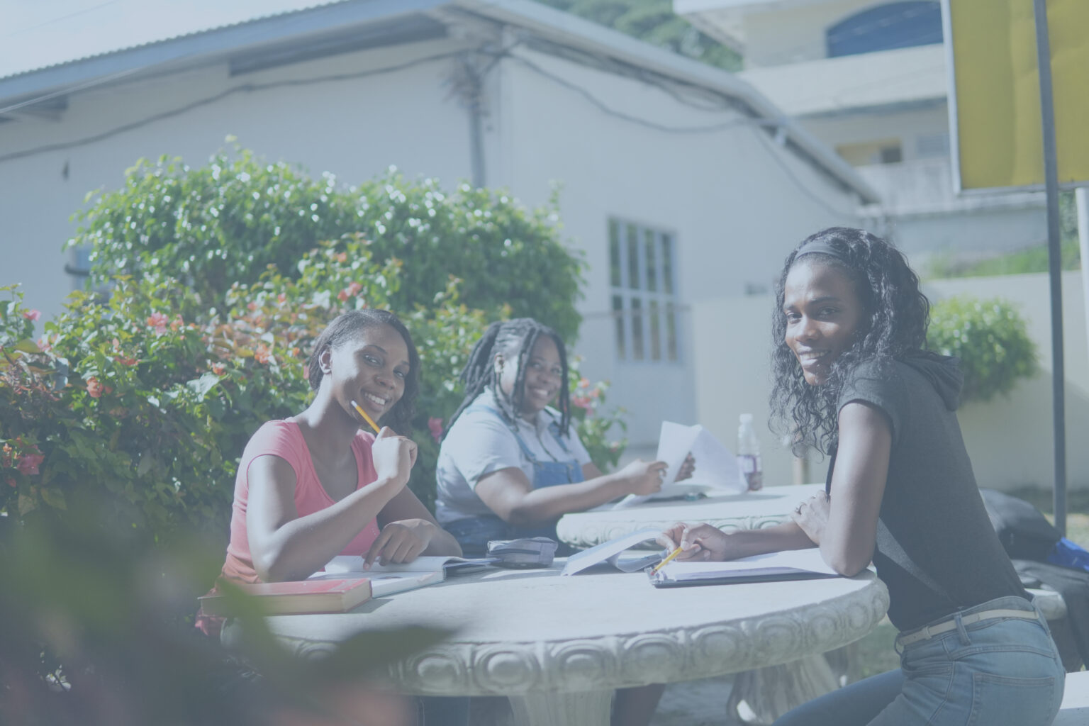 Vocational Training Development Institute