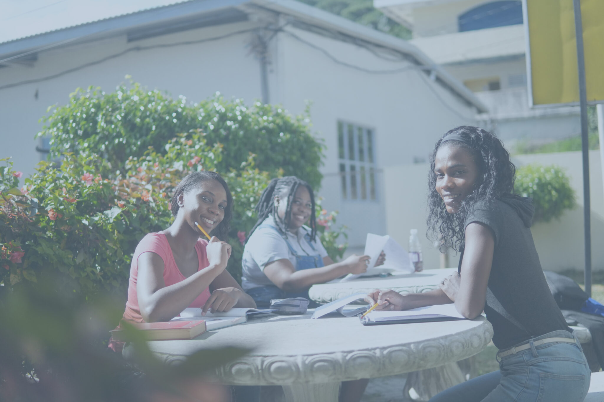 Vocational Training Development Institute